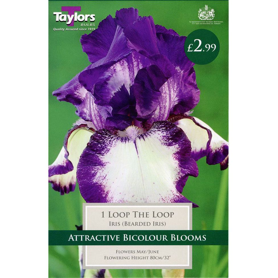 IRIS LOOP THE LOOP – Sefton Meadows Garden Centre