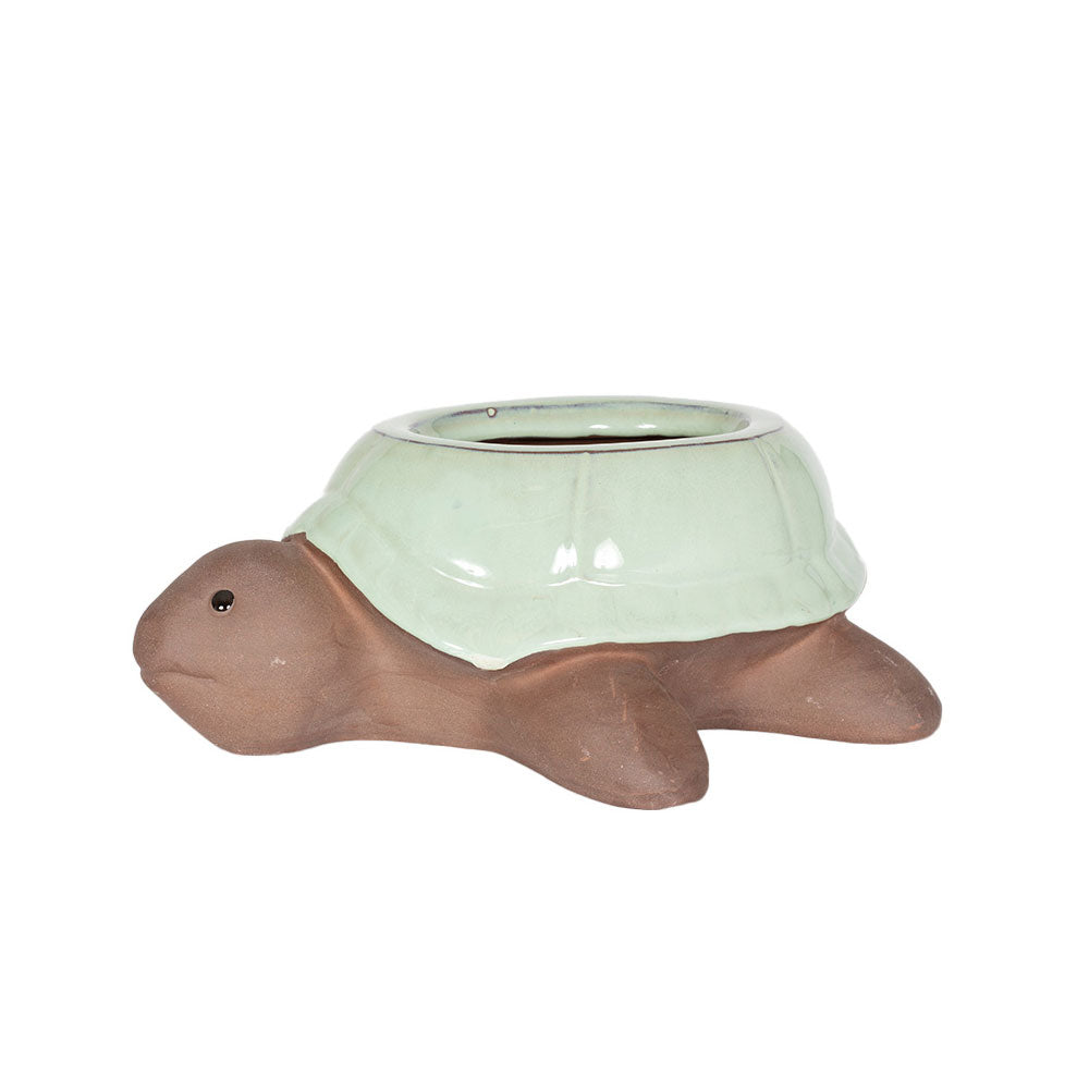 Ceramic Glazed Novelty Tortoise Planter 24cm – Sefton Meadows Garden Centre