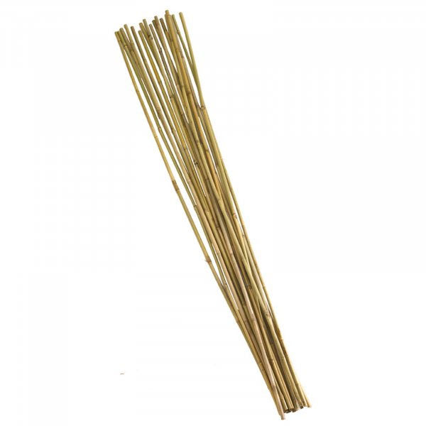 Extra Thick Bamboo Canes Bundle 150cm – Sefton Meadows Garden Centre