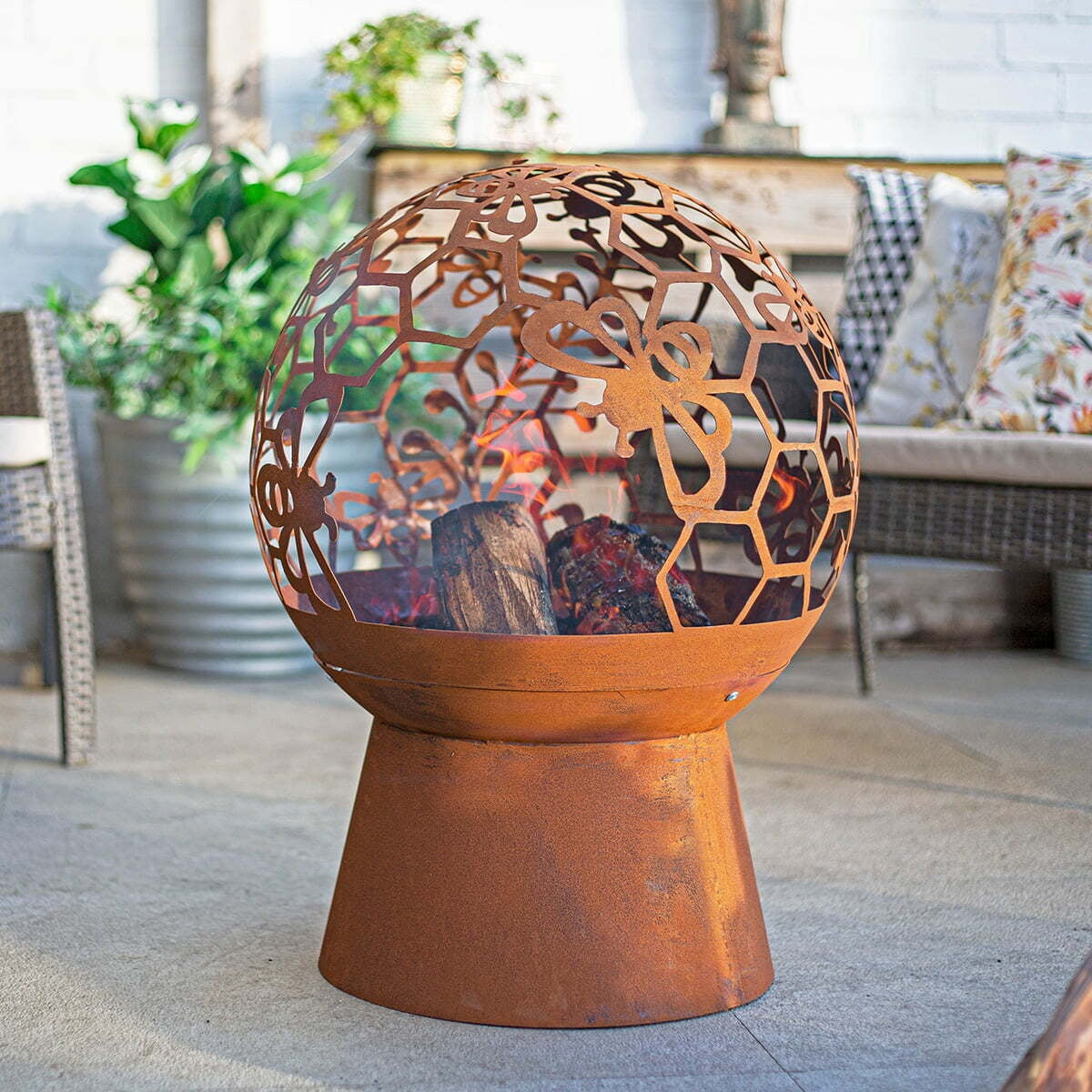 Honeycomb Fireglobe – Sefton Meadows Garden Centre